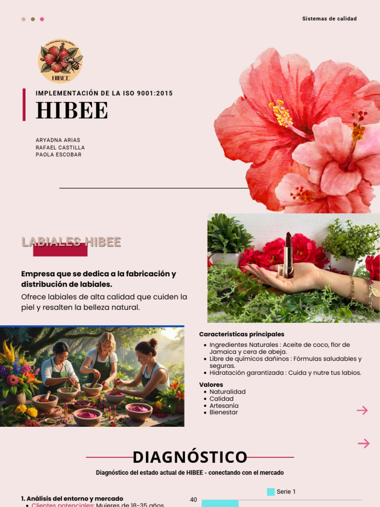 Hibee 1 | PDF | Logística | Calidad (comercial)