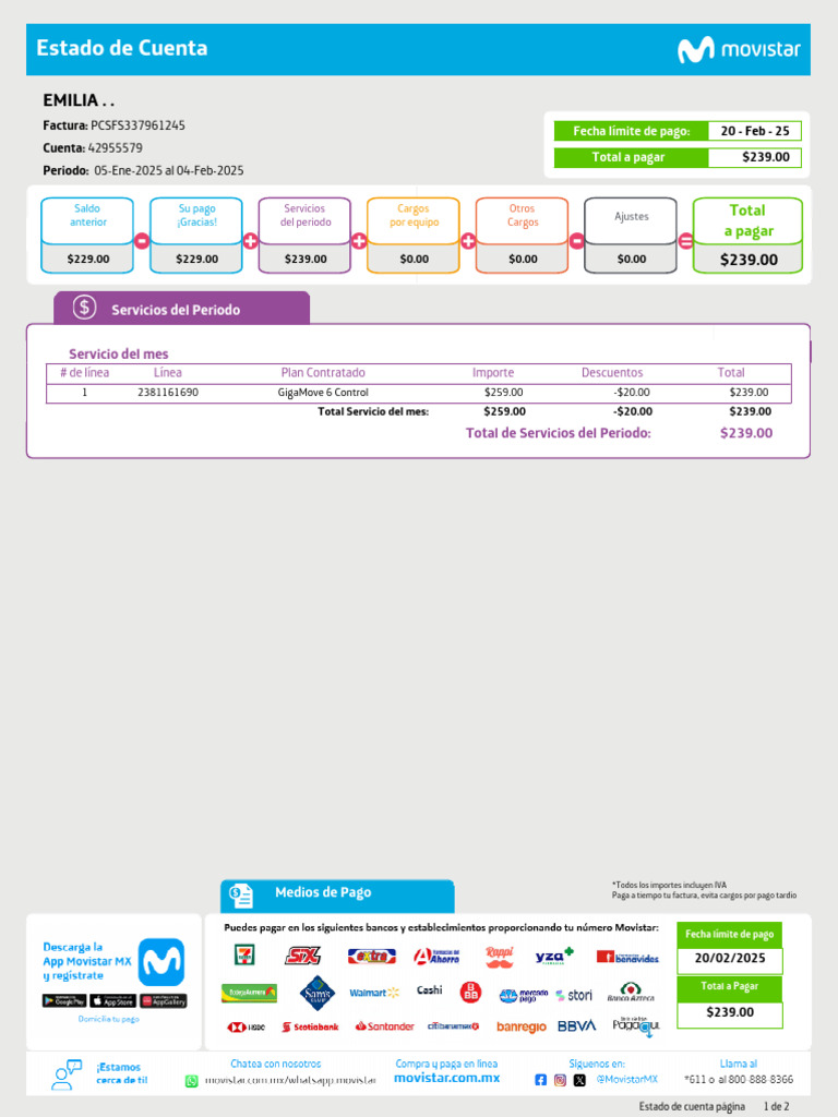 Estado de Cuenta y Factura Mensual | PDF | Economias