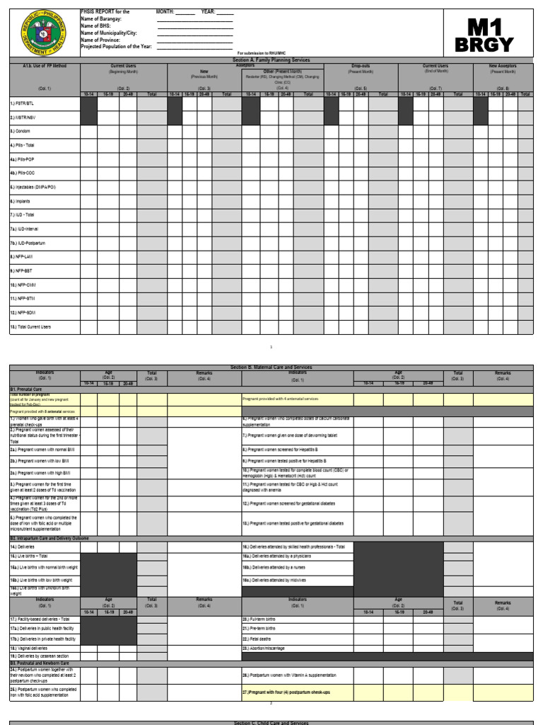 Health Services Data Report | PDF | Childbirth | Pregnancy