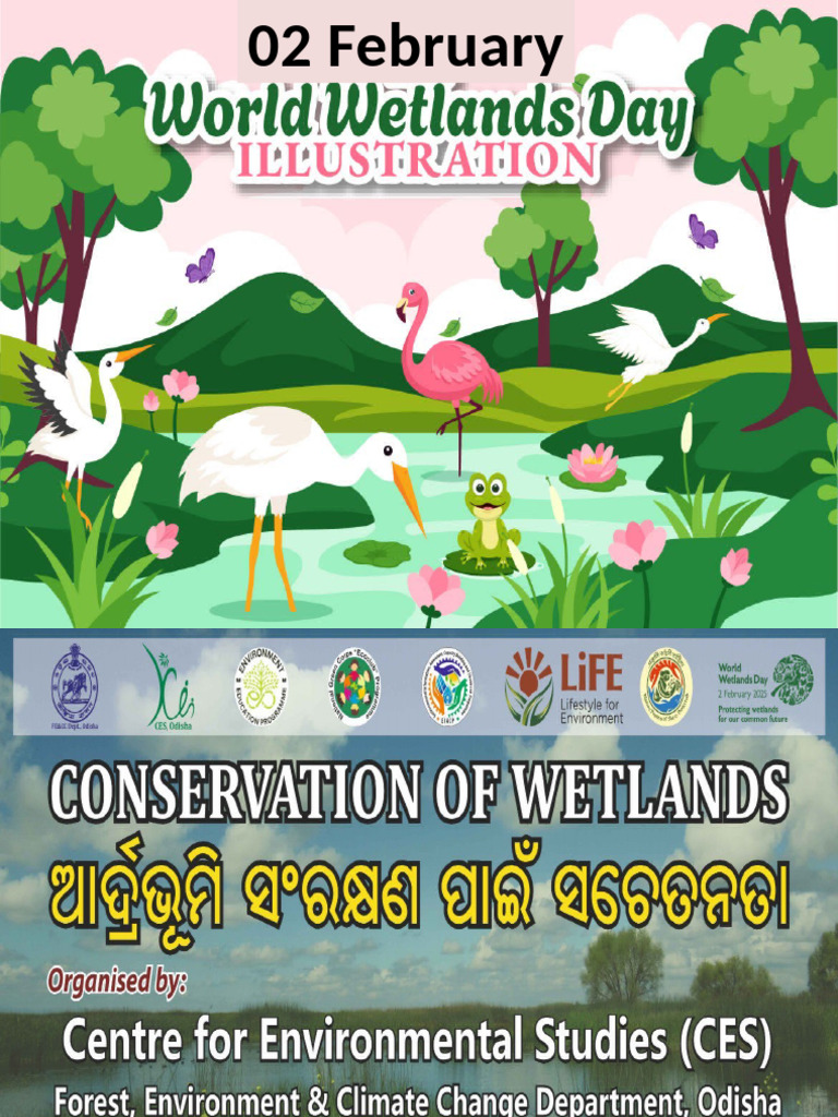 Wetland PPT 2 | PDF