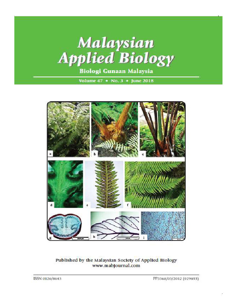 MORPHOLOGICAL CHARACTERIZATION OF DYE PRODUCING TOM JAVA (Indigofera ...