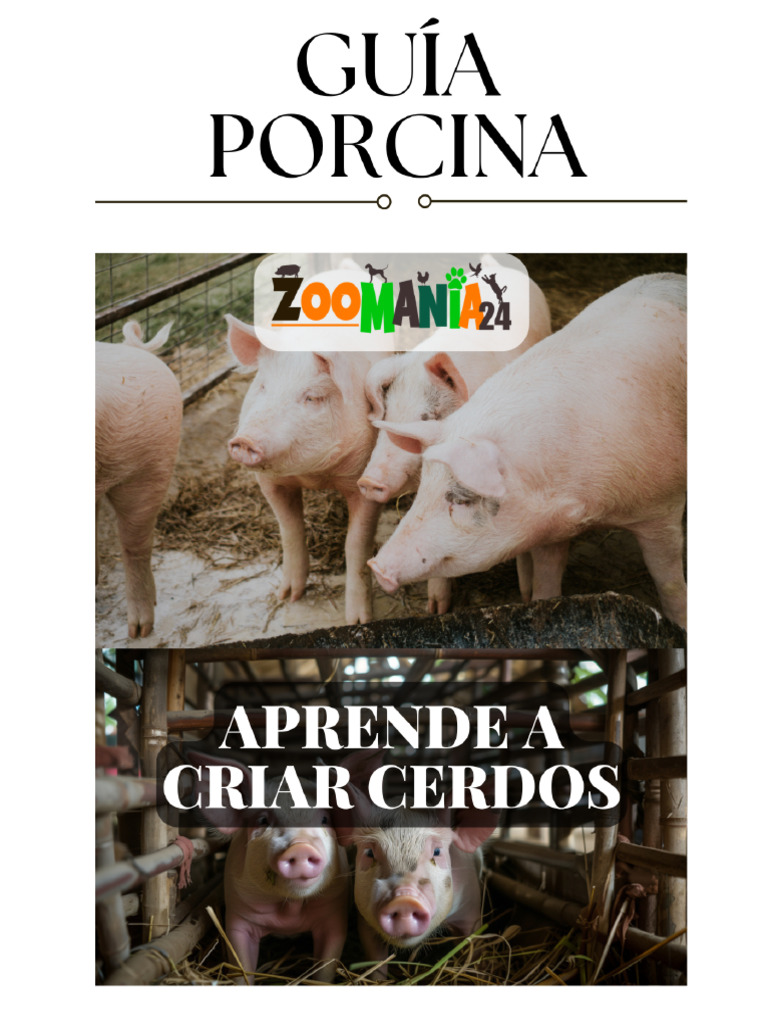 Manual de Producción Porcina Completo | PDF | Cerdo | Carne