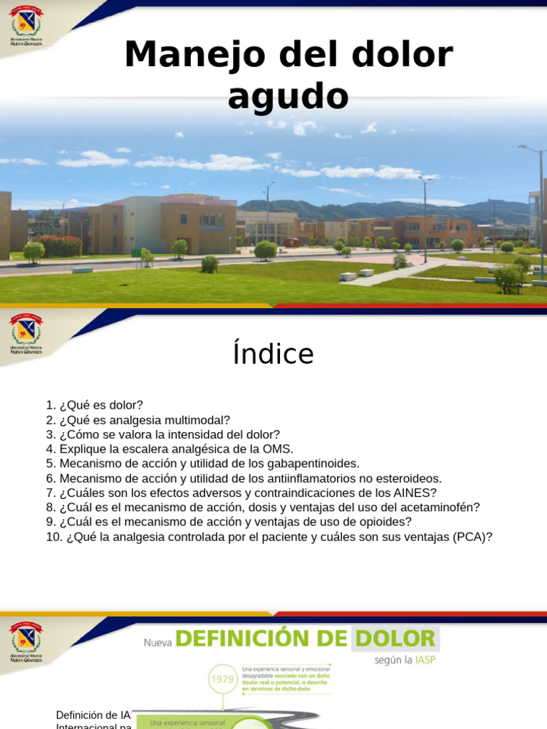 Manejo del Dolor Agudo y Analgesia | PDF