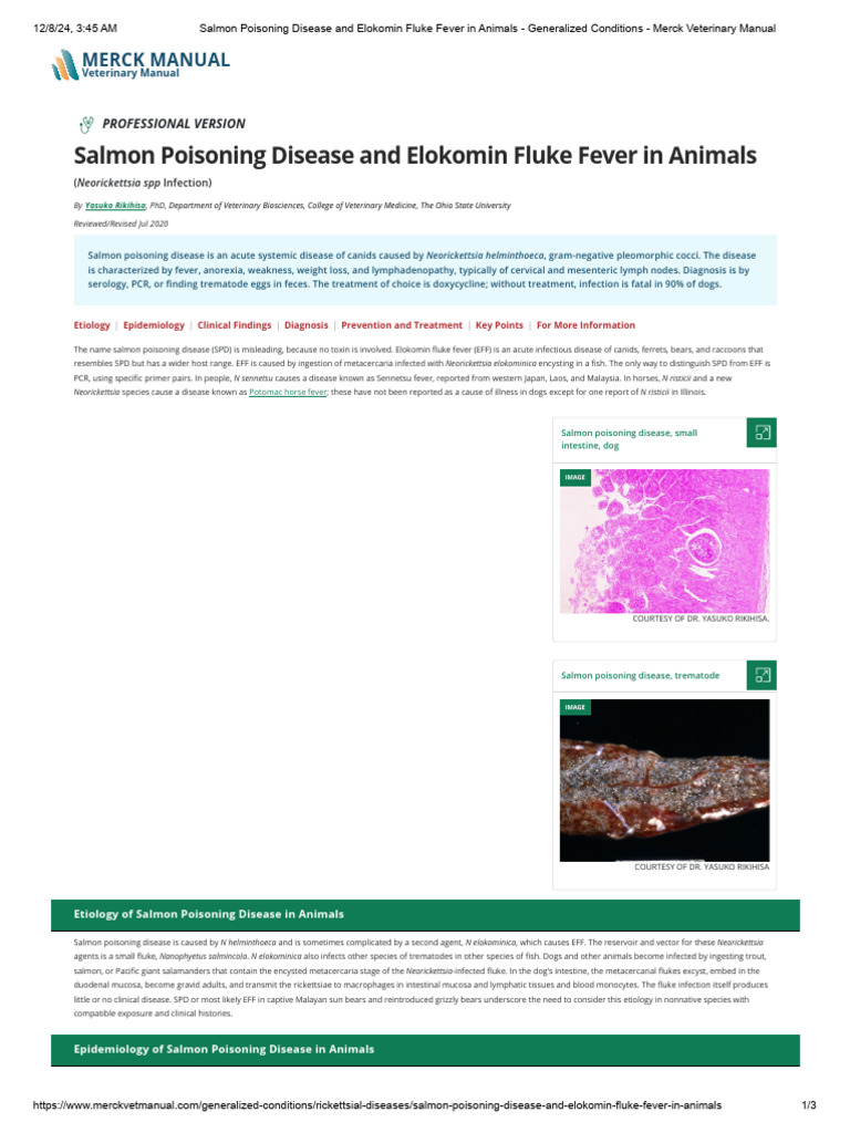 Salmon Poisoning & Elokomin Fluke Fever | PDF | Lymphatic System ...