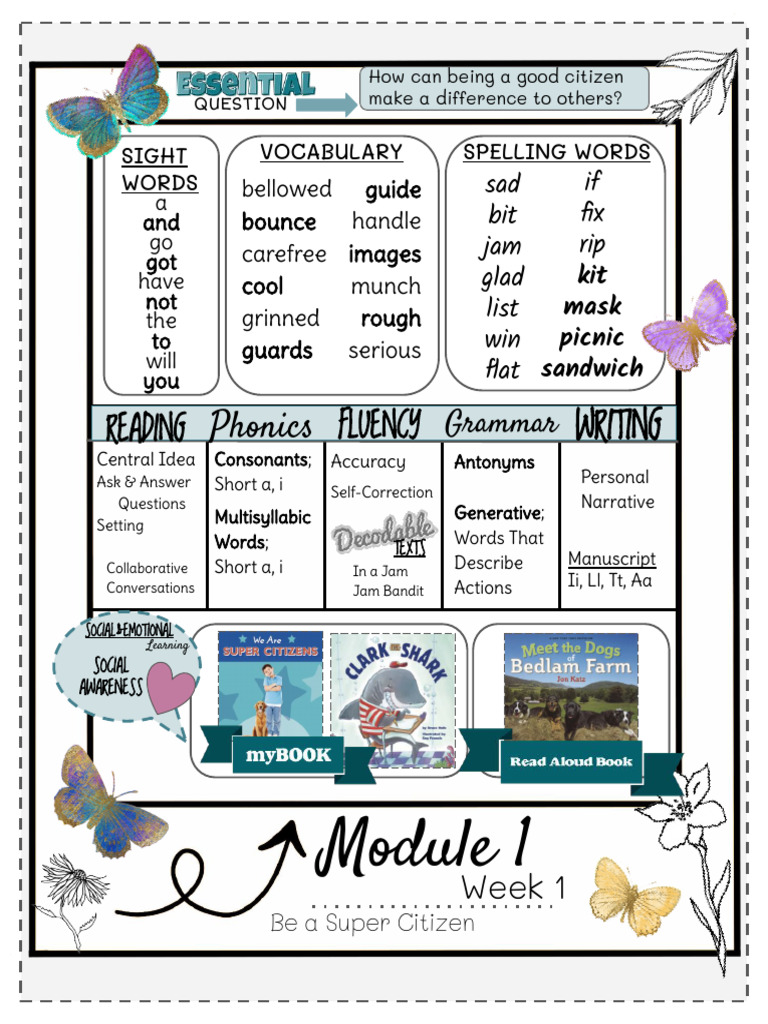 Phonics: Reading Fluency | PDF