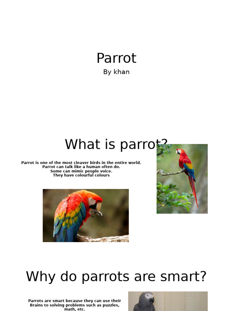Clever Parrots: Smart Birds Explained | PDF