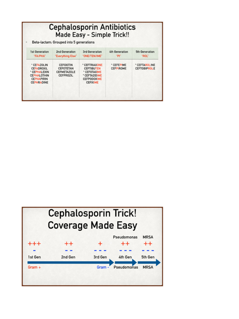 Cephalosporins | PDF