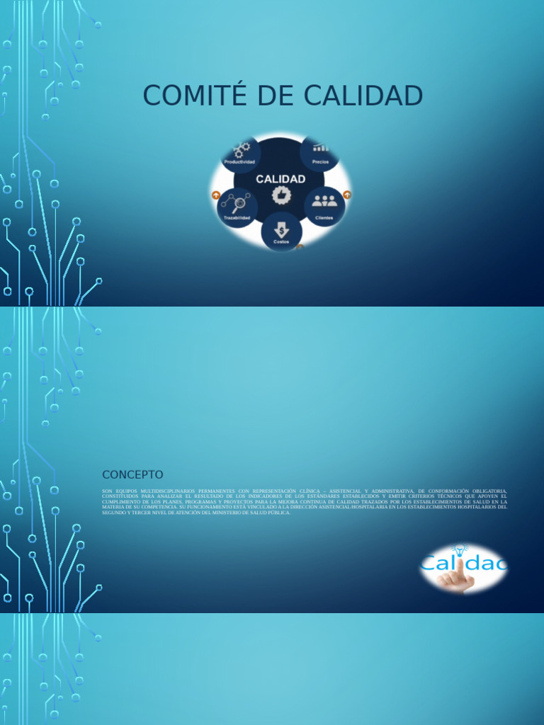 Comite de Calidad | PDF | Hospital | Auditoría