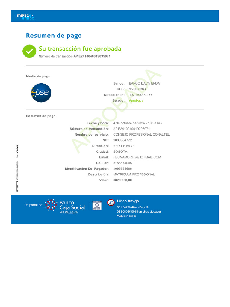 Apie2410040019095071 20241004 | PDF