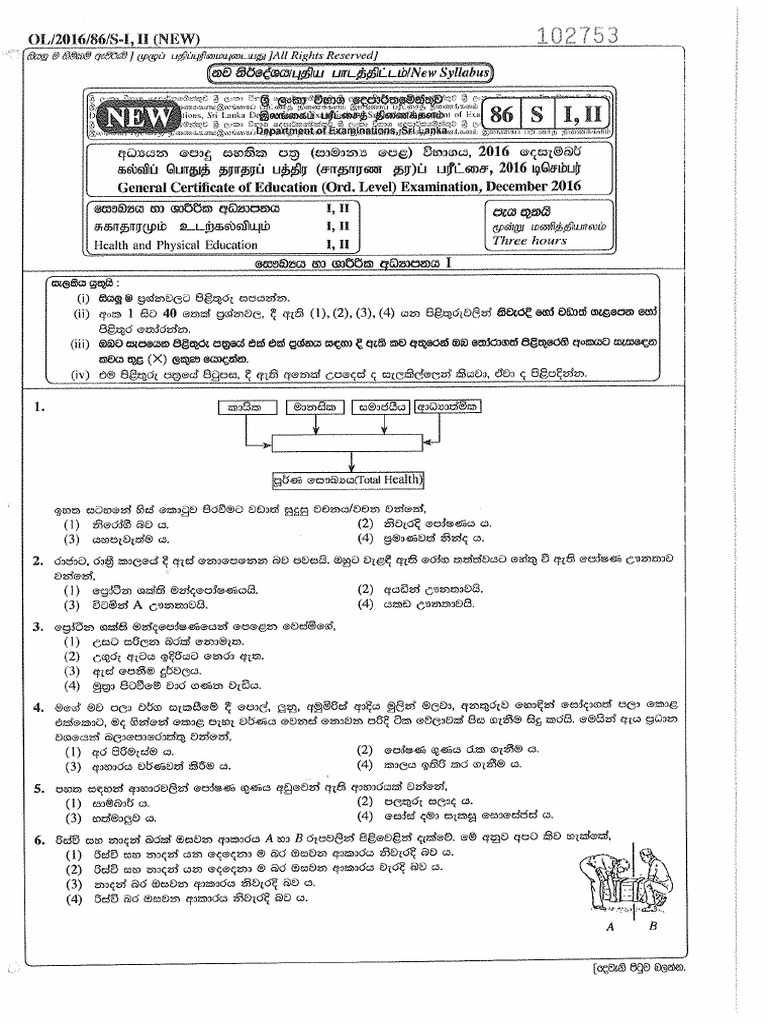2016 OL Health Paper Resources | PDF