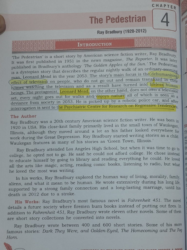 The Pedestrian | PDF