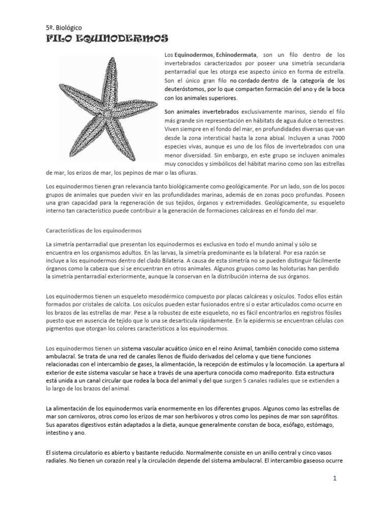 EQUINODERMOS | PDF | Zoología | Biología