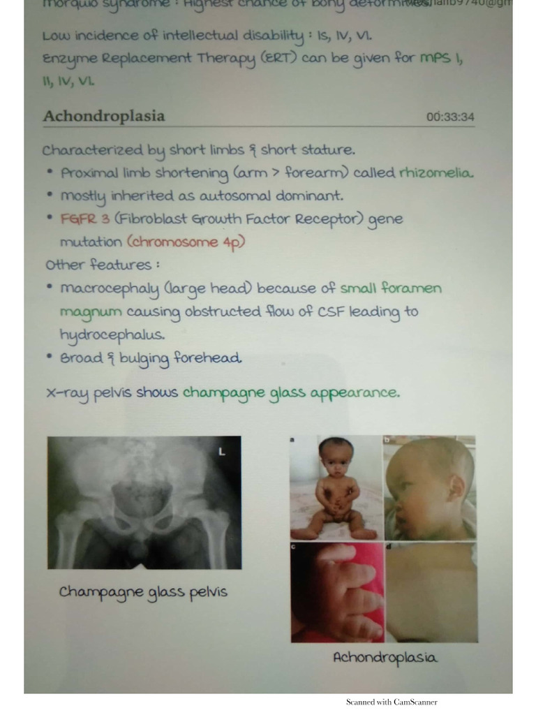 Paeds OSCE | PDF