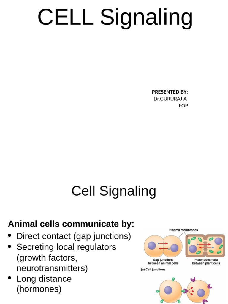 Cell Signaling PPT (1) 102502 | PDF