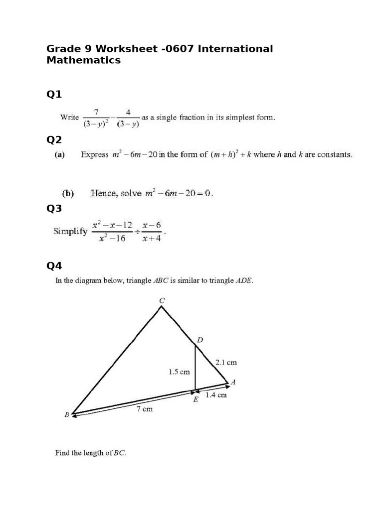 Grade 9 Revision Worksheet 1 | PDF