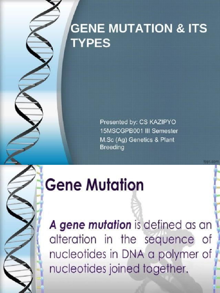 Mutation | PDF