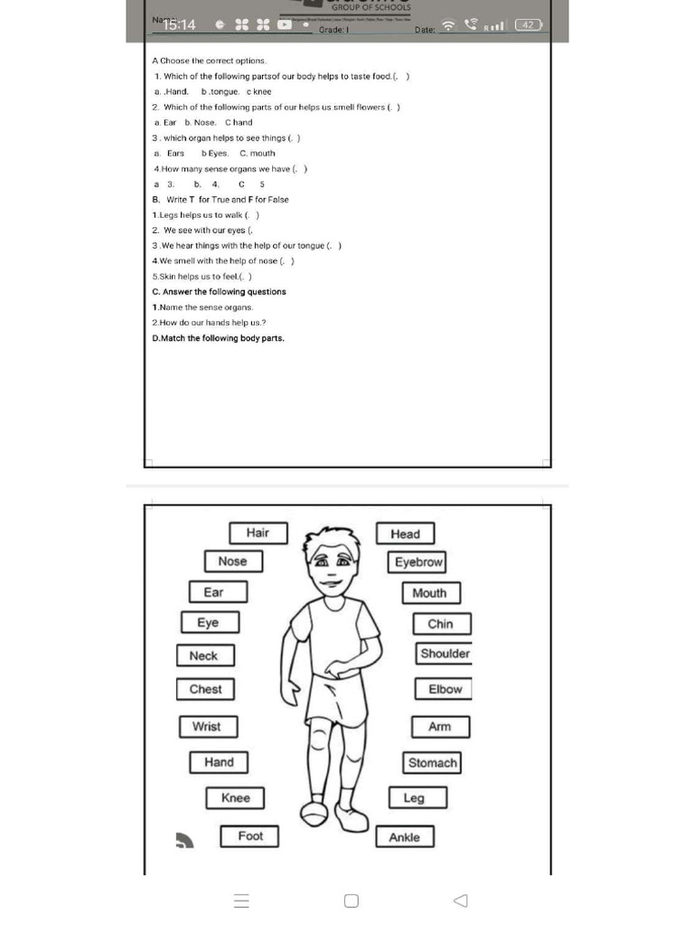 Manasa 20.02.2025 | PDF