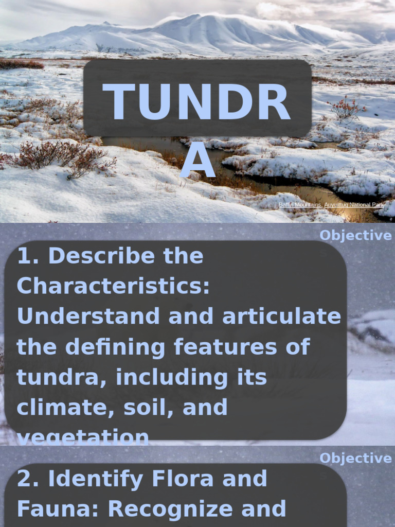 Tundra Presentation Last | PDF | Earth Sciences | Physical Geography