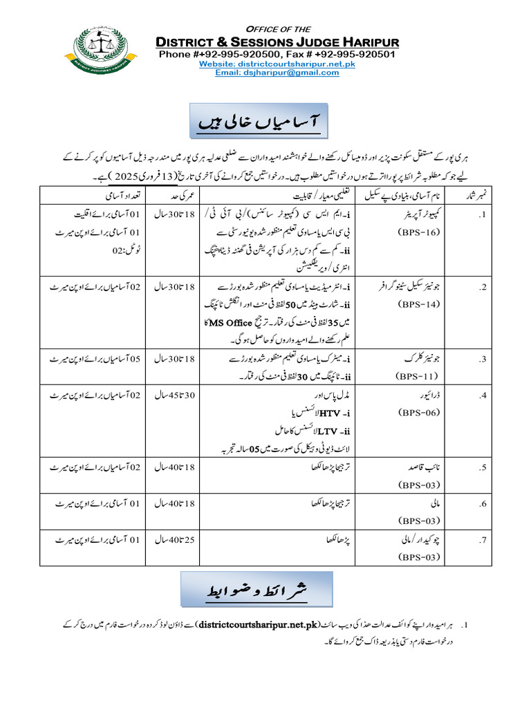 Advertisement Application Form Character Specimen | PDF