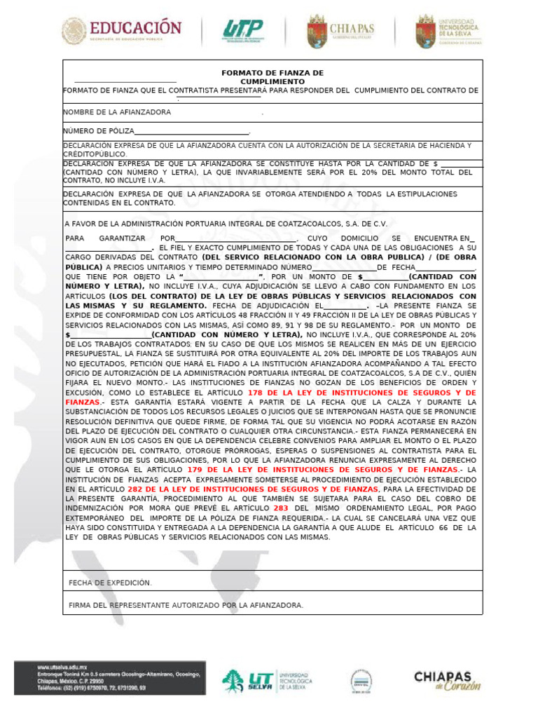 Anexo5.-Formato de Fianzas | PDF | Póliza de seguros