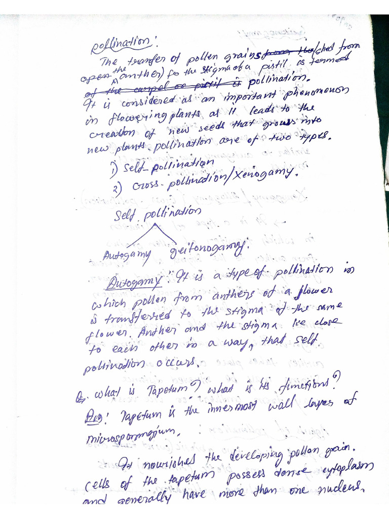 Classnotes 3 | PDF