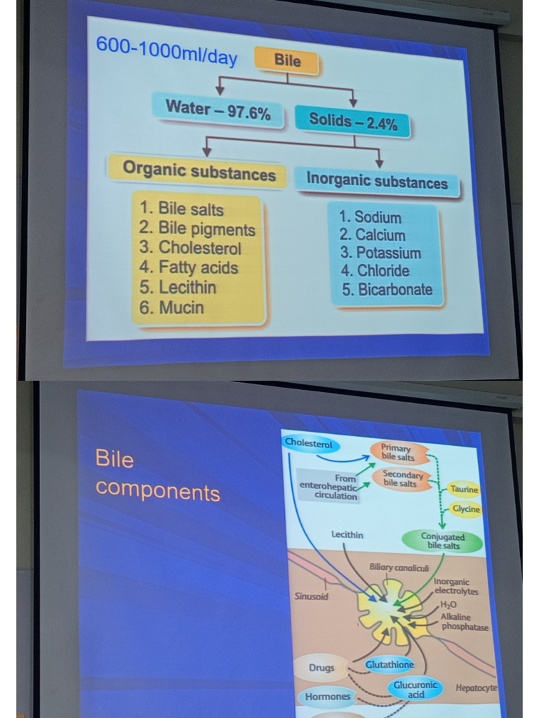 Functions of Gallbladder DR Mahjabeen | PDF