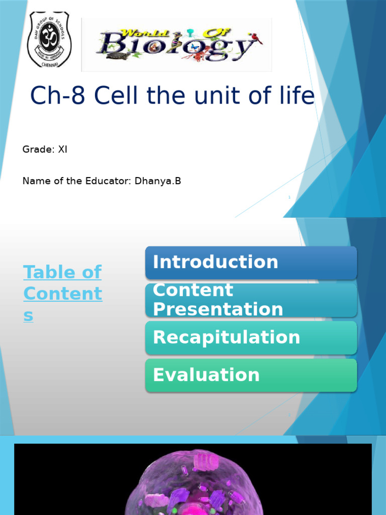 Cell Biology: Grade XI Overview | PDF