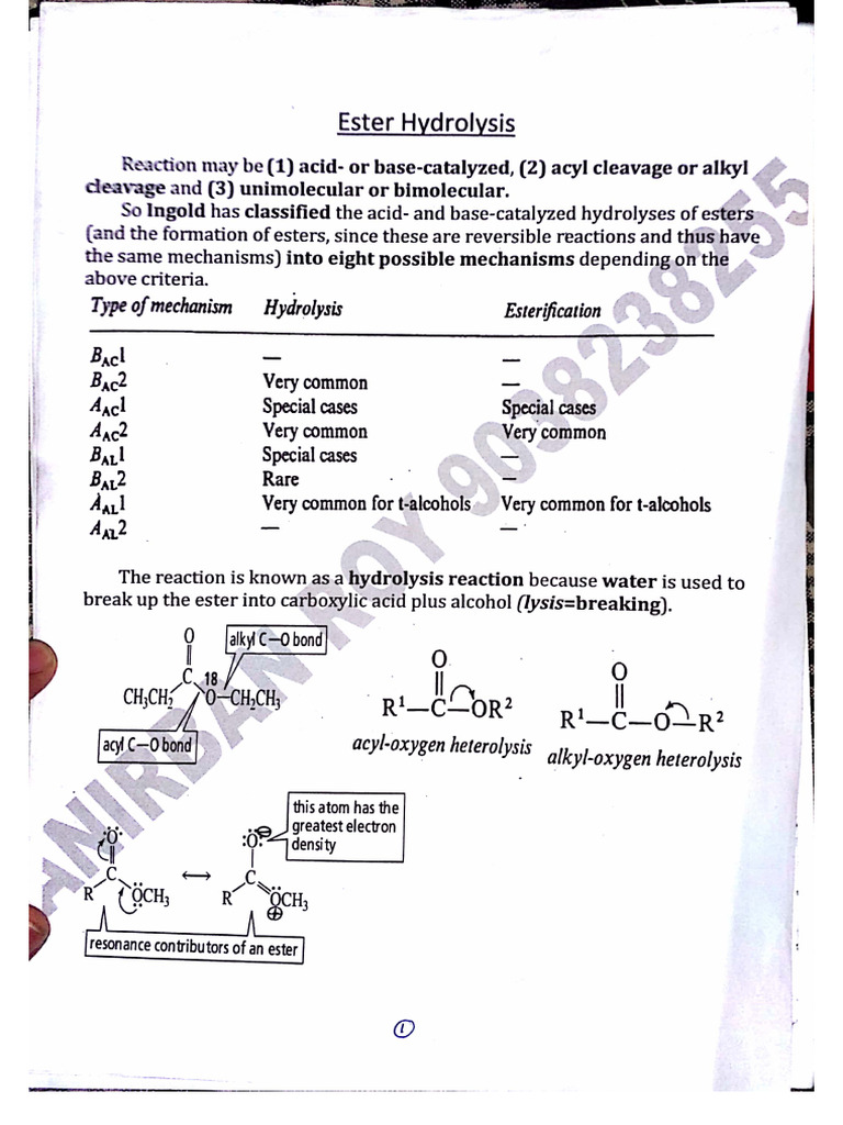 Ester Hydrolysis | PDF