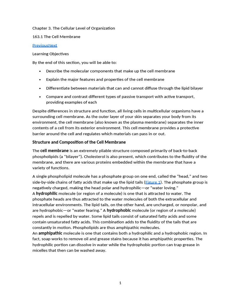 Cell Membrane Theory | PDF | Cell Membrane | Lipid Bilayer