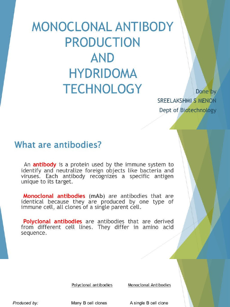 Monoclonal Antibody Production and Hybridoma Technology | PDF