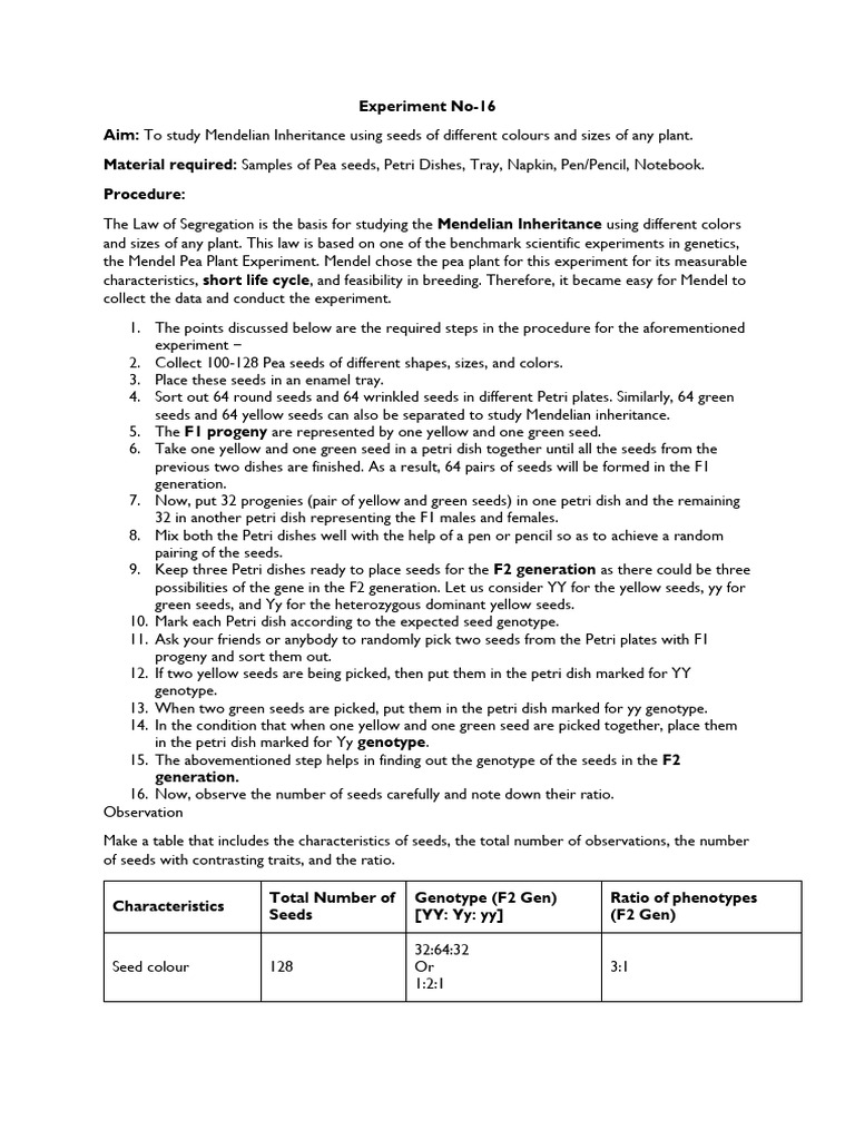Mendelian Experiment | PDF | Dominance (Genetics) | Genotype