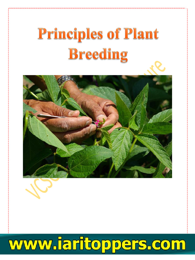 Plant Breeding Principles & Techniques | PDF | Flowers | Plant Breeding