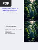 Carbon Purification Model | PDF