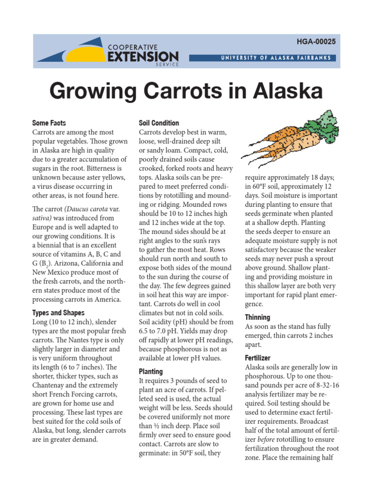 Growing Carrots in Alaska Guide | PDF | Carrot | Horticulture