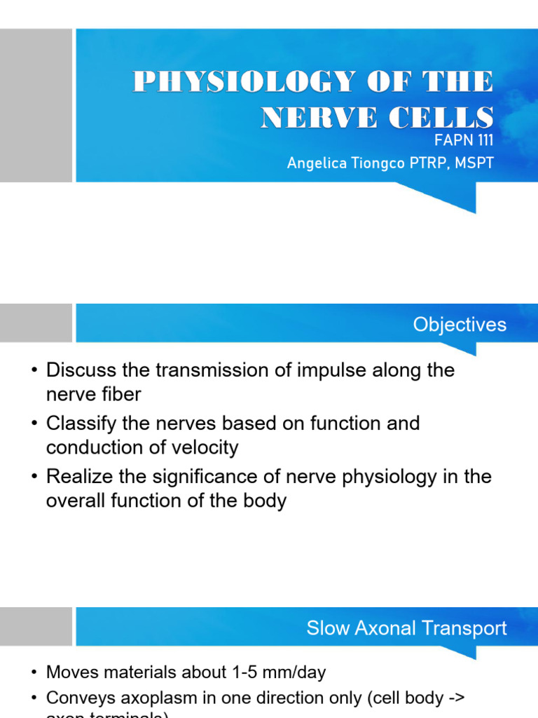 Physiology of The Nerve Cells | PDF | Action Potential | Axon