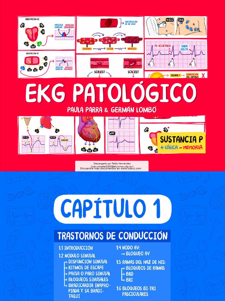 Electrocardiograma e 490302 Downloadable 1854315 | PDF | Corazón | Sistema circulatorio