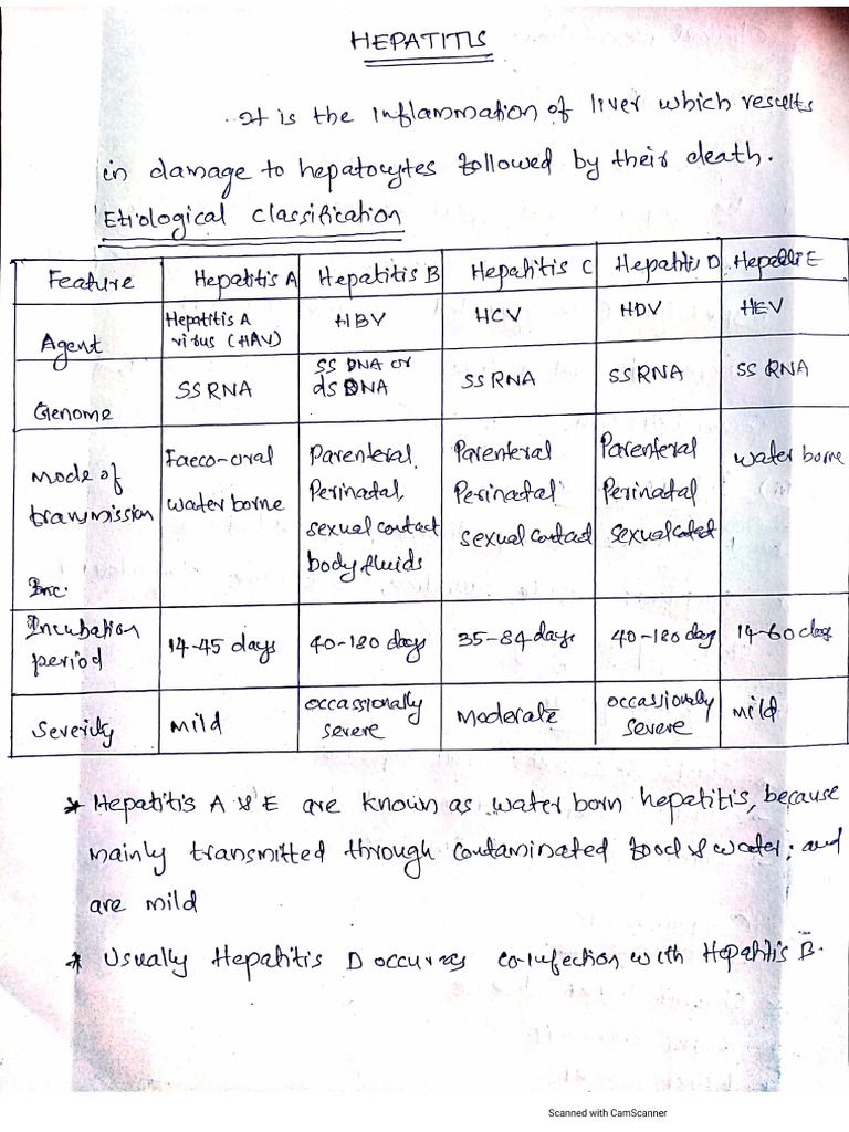 Hepatitis | PDF
