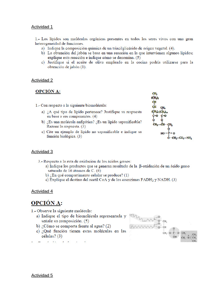 Ejercicios Lã Pidos | PDF