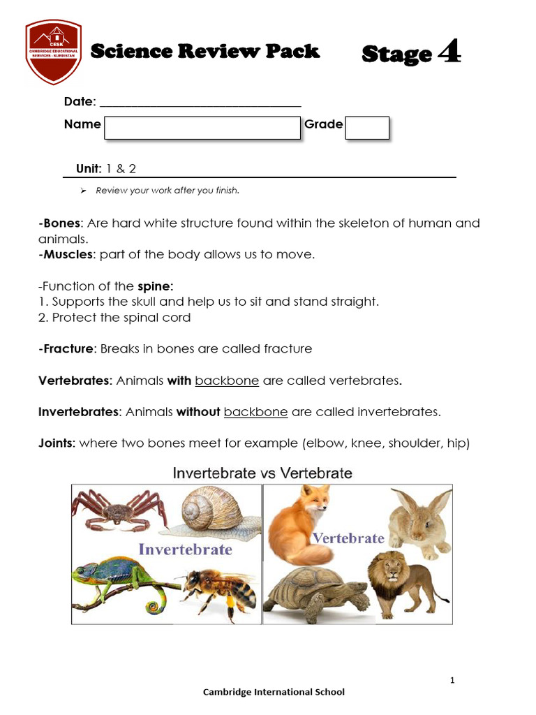 Stage 4 Science Term 1 Final Review Pack | PDF | Arm | Skeleton