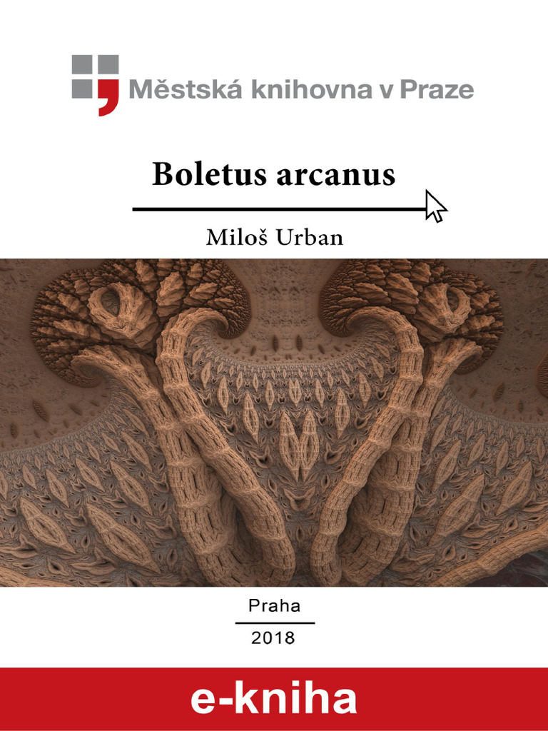 Boletus Arcanus | PDF