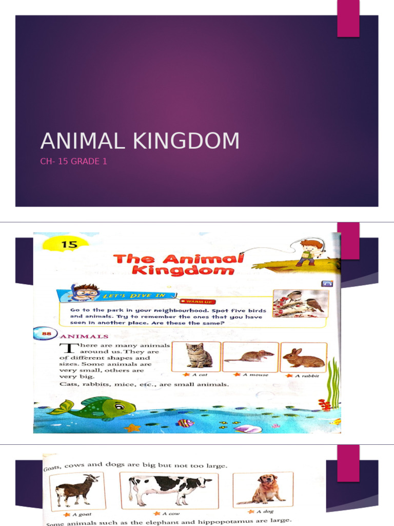 Animal Kingdom Ppt | PDF