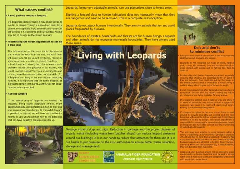 Leopard 20poster English A2 | PDF | Leopard | Predation