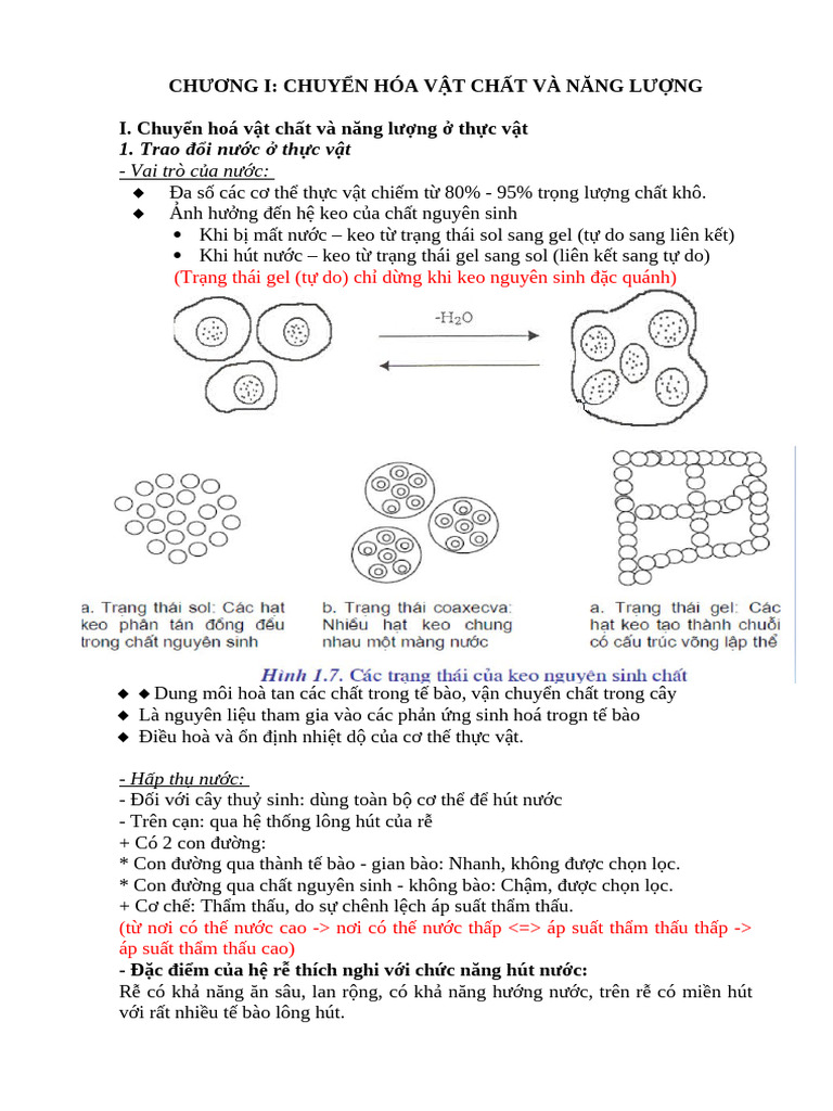 TV Chương 1 S Trao Đ I Nư C CHVCNL | PDF
