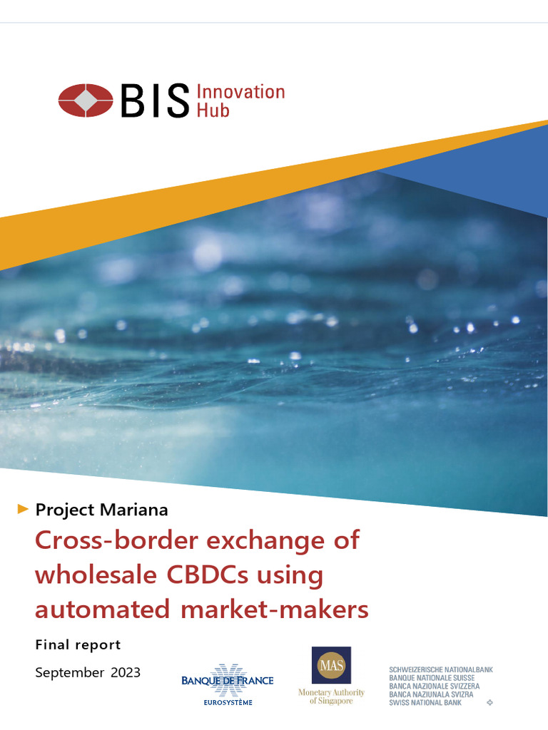 Project Mariana- BIS Innovation Hub | PDF | Foreign Exchange Market ...