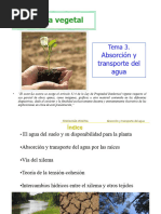 Glosario de briofitos y caulidios | PDF | Hoja | Plantas