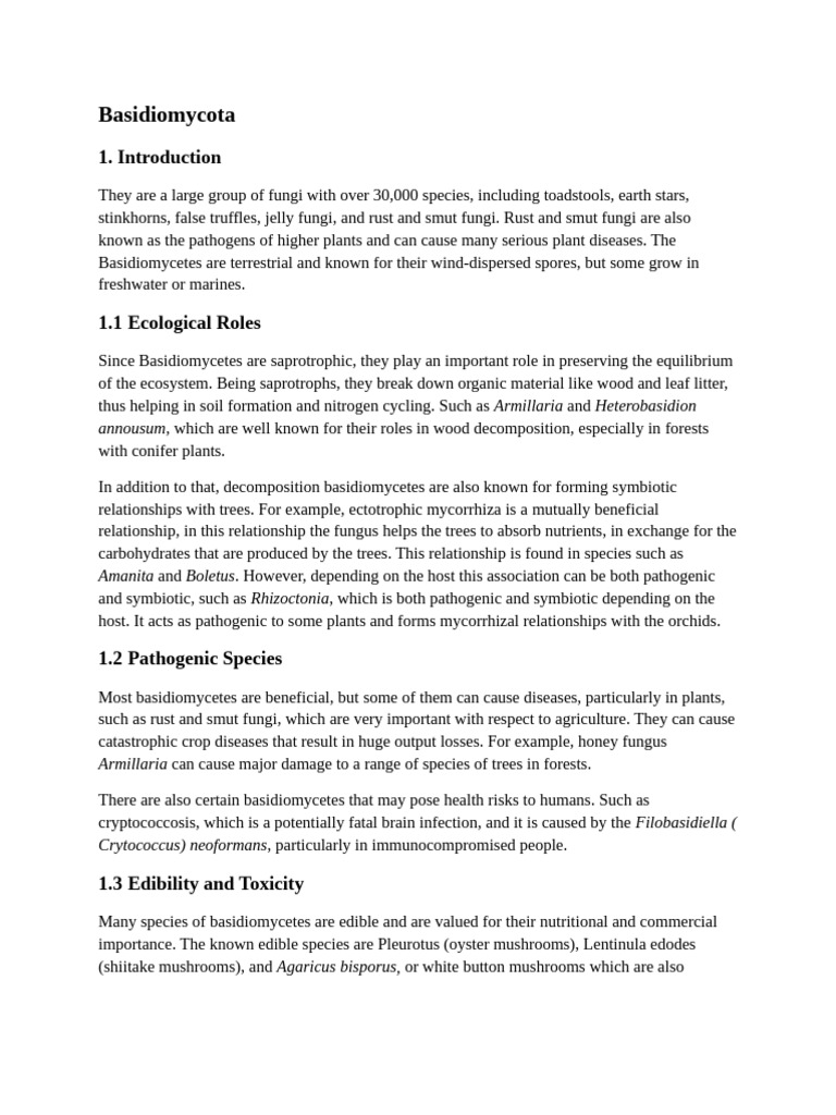 Basidiomycota | PDF | Edible Mushroom | Fungus