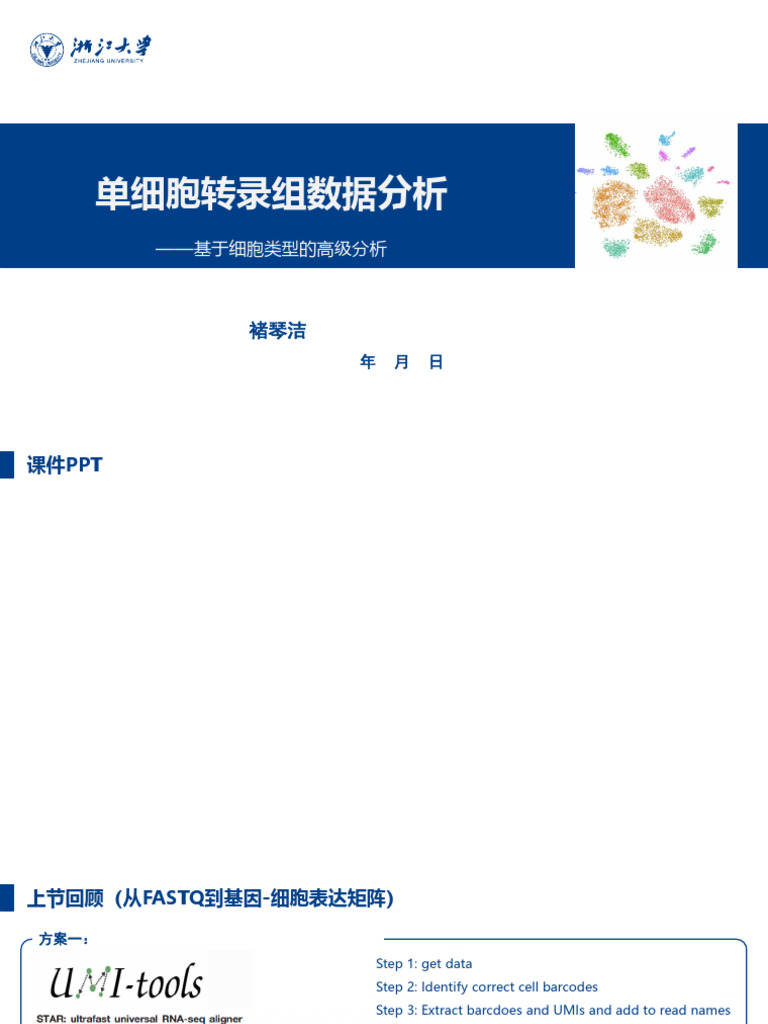 Sco 6 | PDF