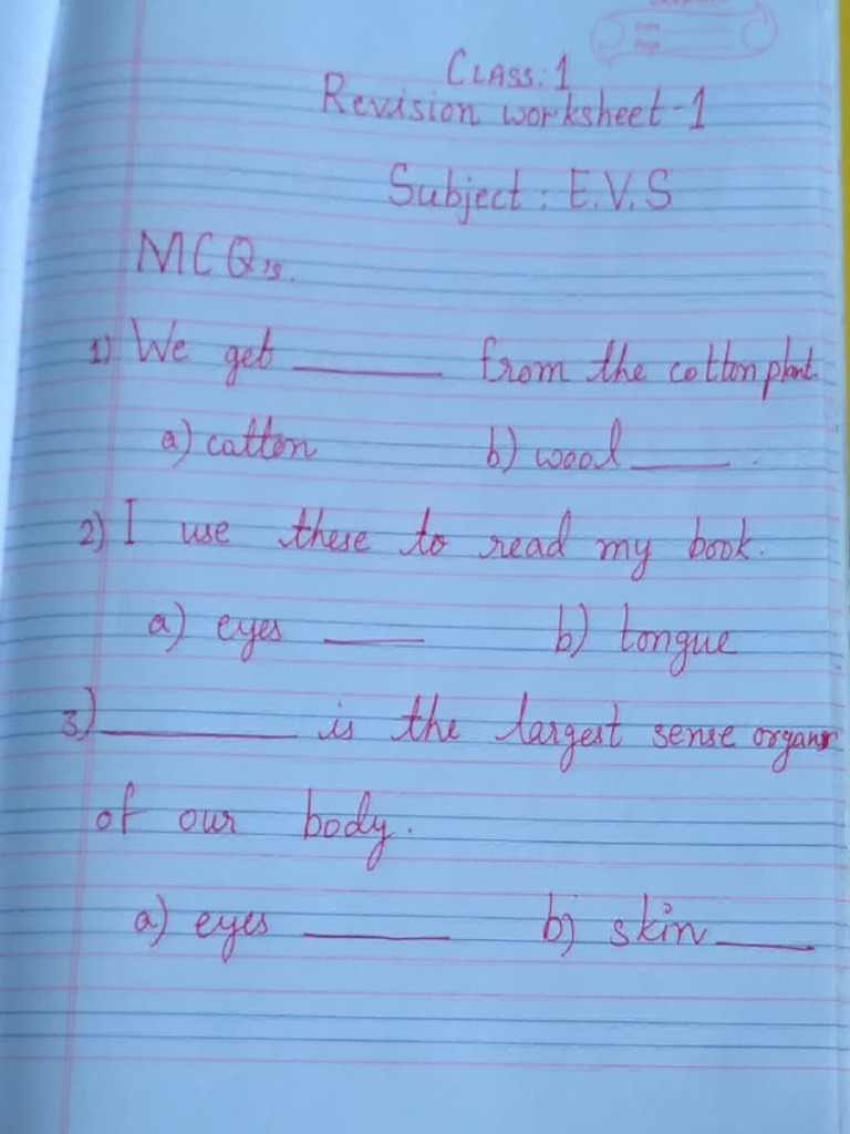 EVS EV1 Revision Worksheet | PDF