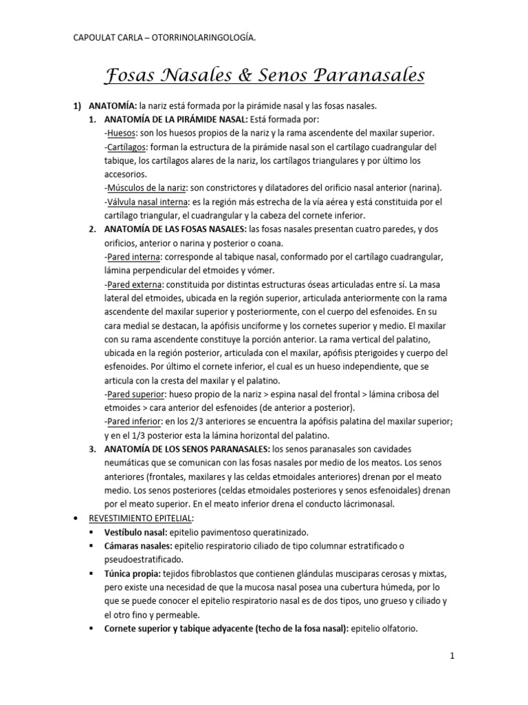 Anatomía de Fosas Nasales y Senos Paranasales | PDF | Nariz humana ...