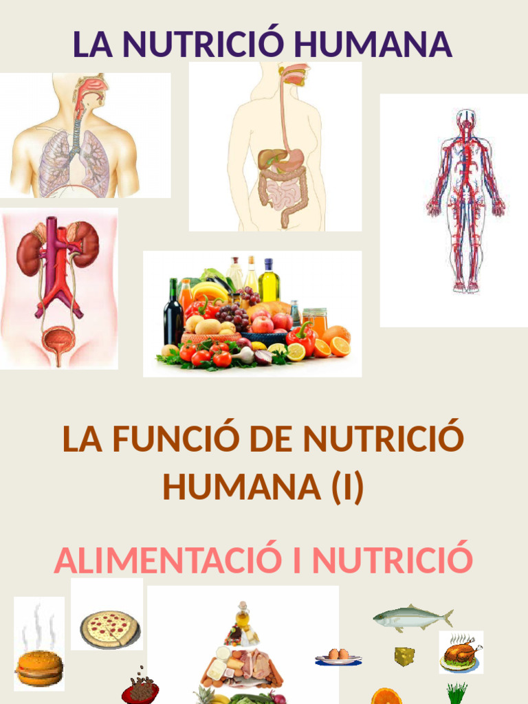 Alimentació I Nutrició | PDF